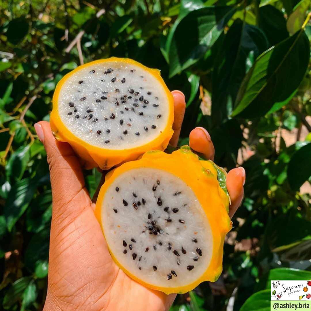 Sasoun Produce
